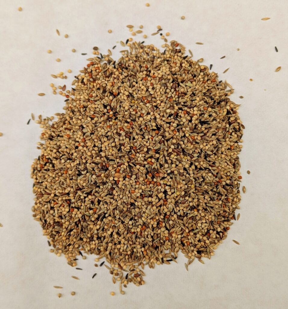 Neophema Parrot Mix No Safflower- 20kg - Vander L Feeds Limited