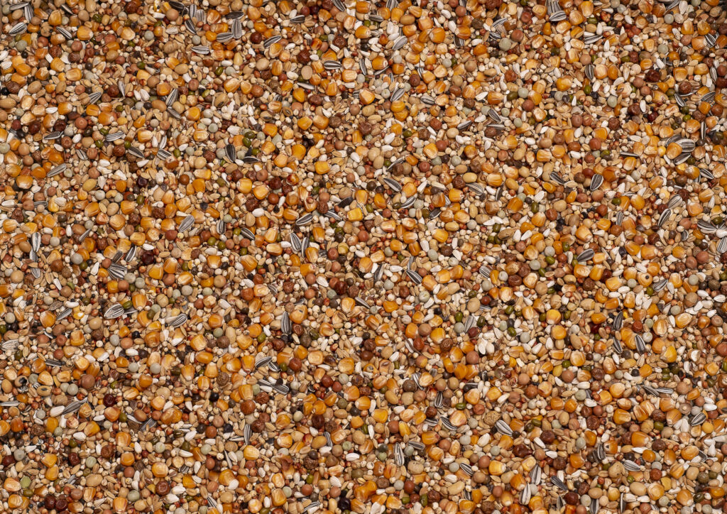Beyers Premium Super Moulting 20kg - Vander L Feeds Limited