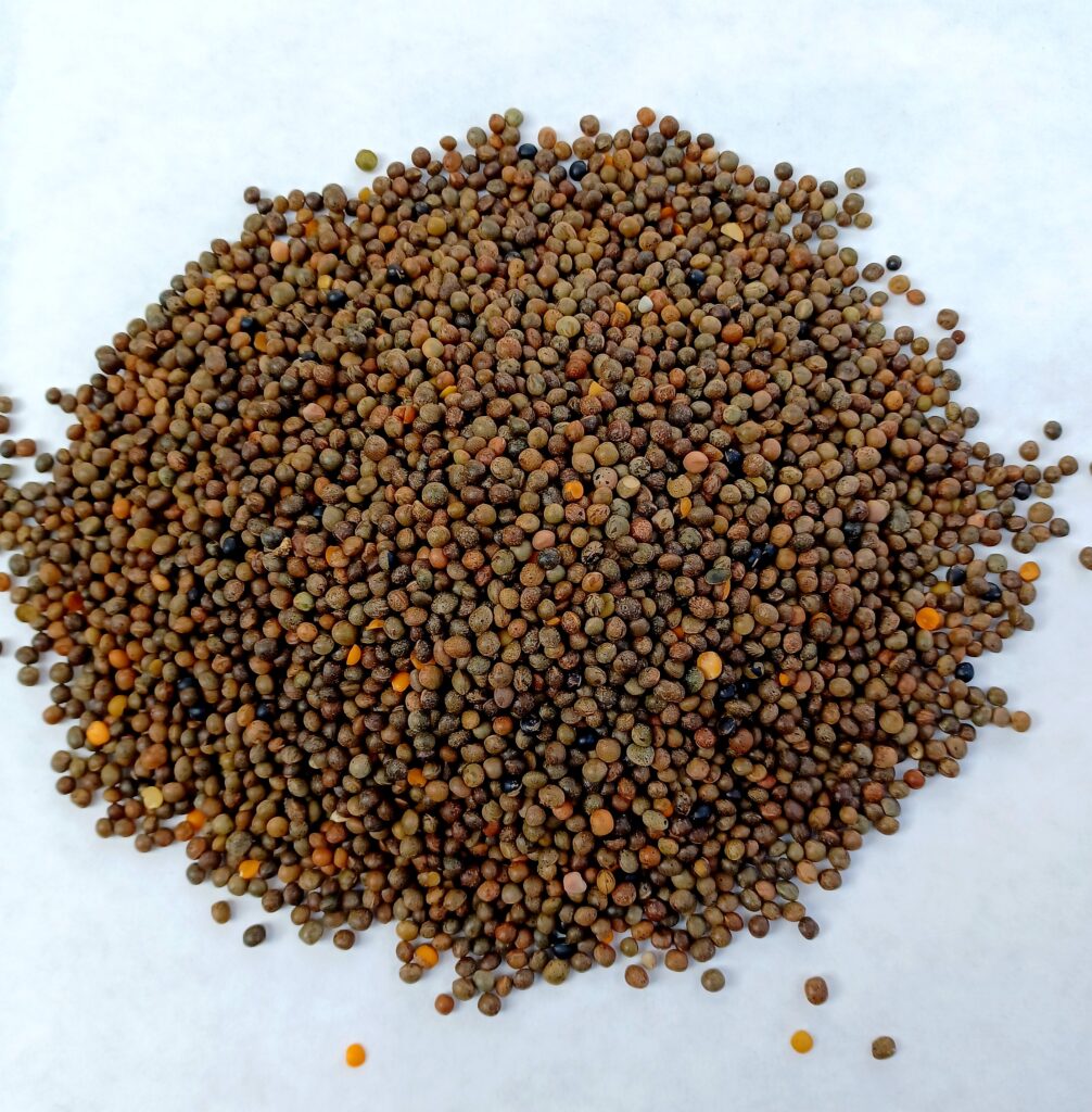 Tares (Vetches) – 20kg - Vander L Feeds Limited